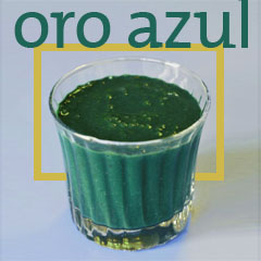 El oro azul de la alimentación | Panamá América