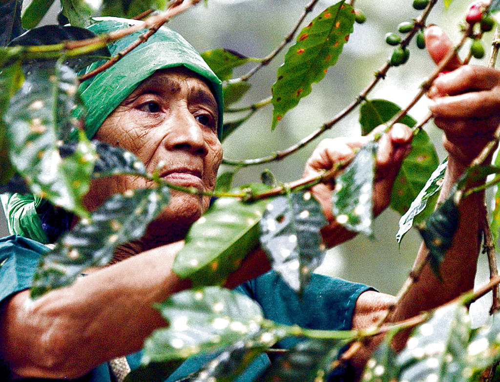 Costa Rica regulará a indígenas | Panamá América