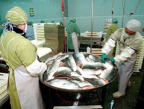 Destacan importancia de las microempresas | Panamá América