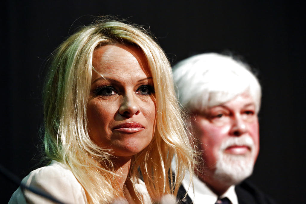 Pamela Anderson defiende al fundador de la ONG "Sea Shepherd" | Panamá ...