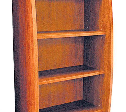 ¿Cómo escoger un librero? | Panamá América