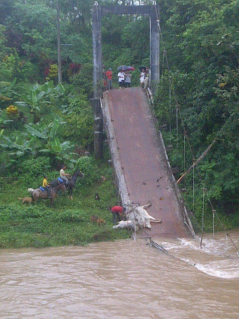 Lluvias en Chiriquí causan daños en el distrito de Barú | Panamá América
