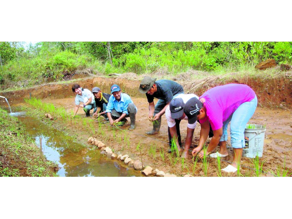 Incentivan la producción en áreas rurales de Panamá | Panamá América