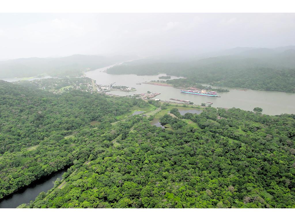 Los bosques, una forma de mejorar la calidad de vida | Panamá América