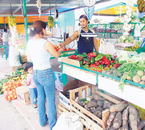 Mipymes lideran el parque empresarial de Panamá | Panamá América