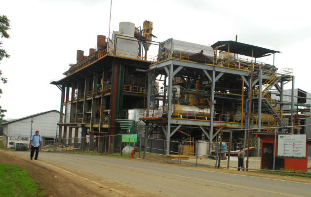 Las Cabras de Pesé, un pueblo en zozobra por el bajo precio del etanol ...