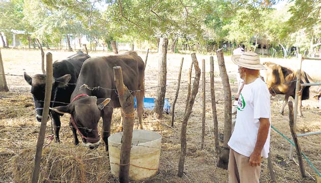 Capacitan a productores para hacerle frente a la época seca | Panamá ...
