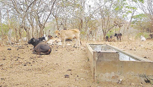 Capacitan a productores para hacerle frente a la época seca | Panamá ...