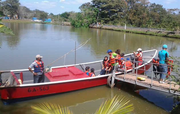 Ocú expone lo mejor de su producción en cinco días | Panamá América