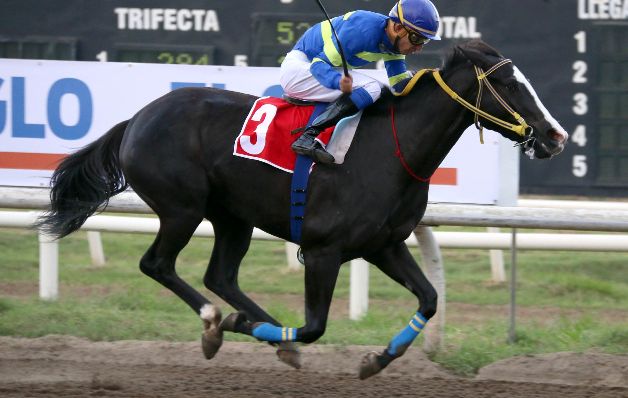 VICKI, UNA DAMA VELOZ | Panamá América