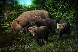 Que Comen Los Perros De Monte