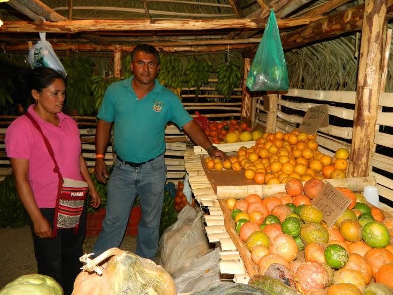 Feria de Chitra ofrece lo mejor en cítricos y café | Panamá América