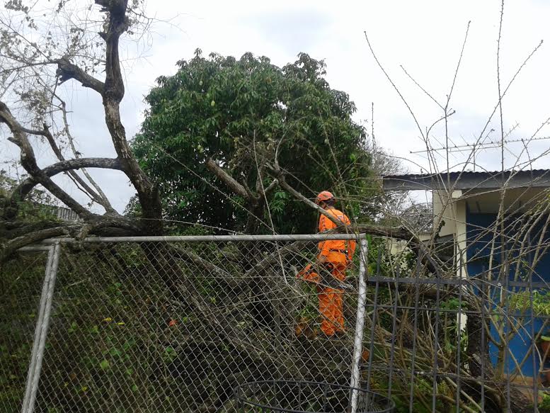 Afectaciones por primeras lluvias en comunidades de Pesé y Chitré ...