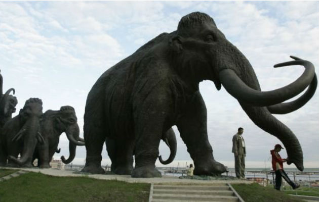 La falta de agua pudo acabar con mamuts en isla de Alaska | Panamá América