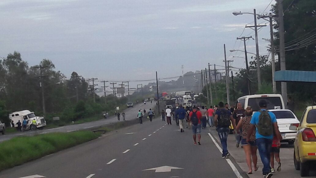 Arroceros de Chepo y Darién temen pérdidas y protestan en Pacora ...