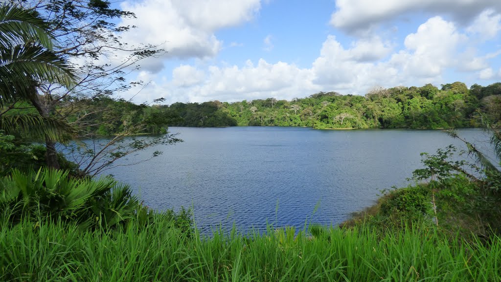 Minsa asegura que agua del Lago Gatún es apta para consumo humano ...