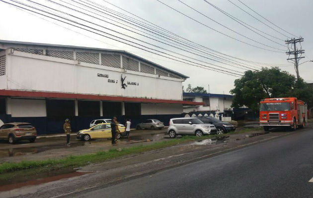 Abejas africanizadas atacan a estudiantes del IPTC | Panamá América Abejas africanizadas atacan a estudiantes del IPTC | Panamá América