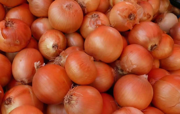 Cebolla nacional e importada, con nuevas normas de calidad para su ...