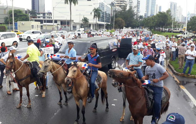 Productores panameños marchan a caballo hacia la Presidencia | Panamá ...