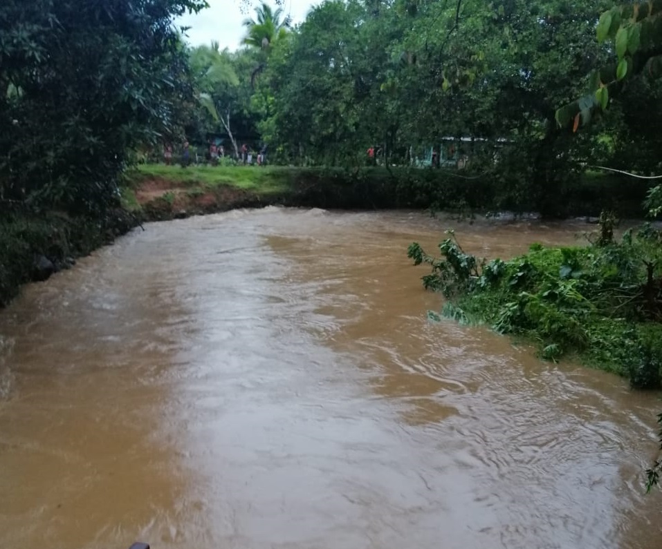 Se desbordan quebradas, vías obstruidas y árboles caídos durante ...