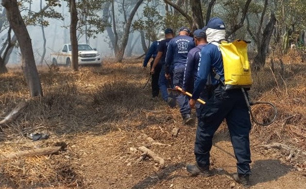 Continúa labor de extinción de incendio forestal en Parita | Panamá América