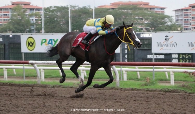 Doña Perfecta sigue invicta; se perfila para el Caribe | Panamá América